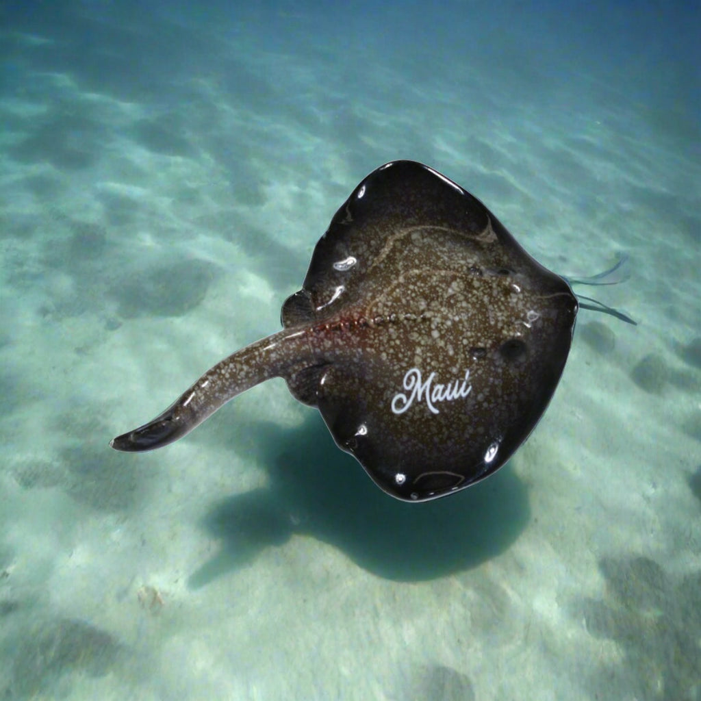RESIN MAGNET: Manta Ray-Maui – Aloha Ave Store - Made with Aloha